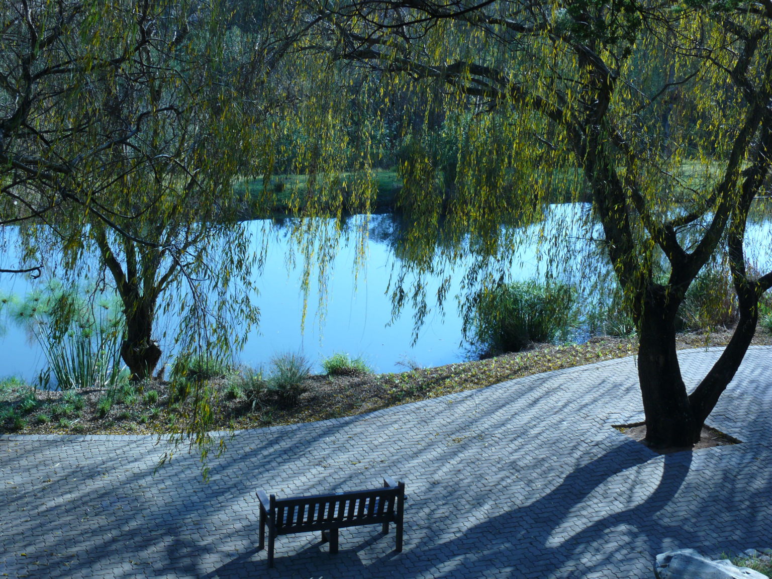 Tarentaal Village – Rand Aid Association