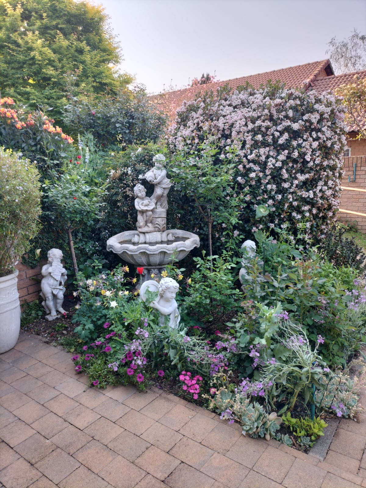Elphin open gardens a sight to behold! – Rand Aid Association