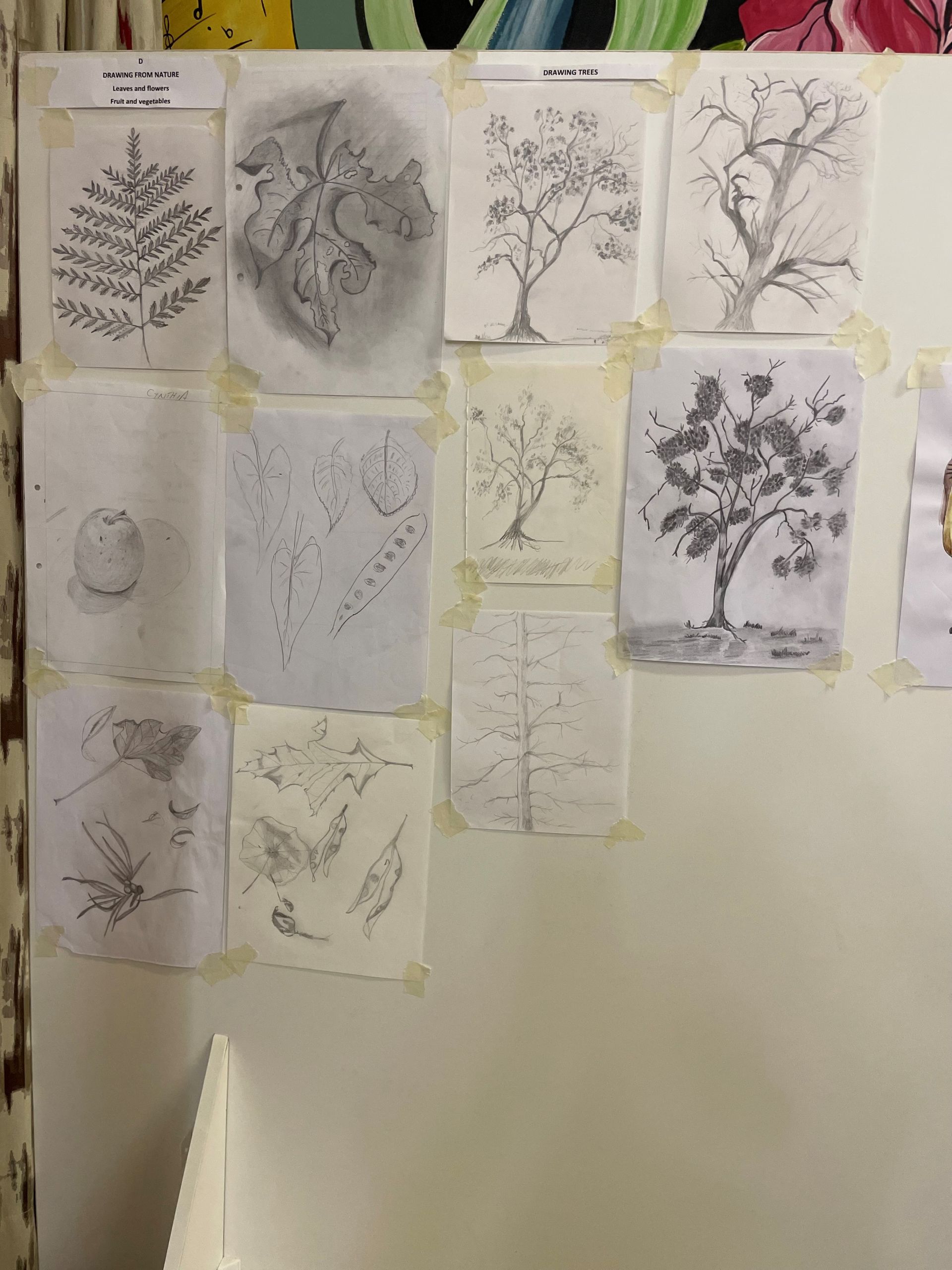 Tarentaal art group shows off its talent! – Rand Aid Association
