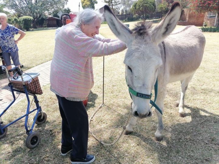 Neighs, bleats and clucks bring pleasure to care centre residents ...