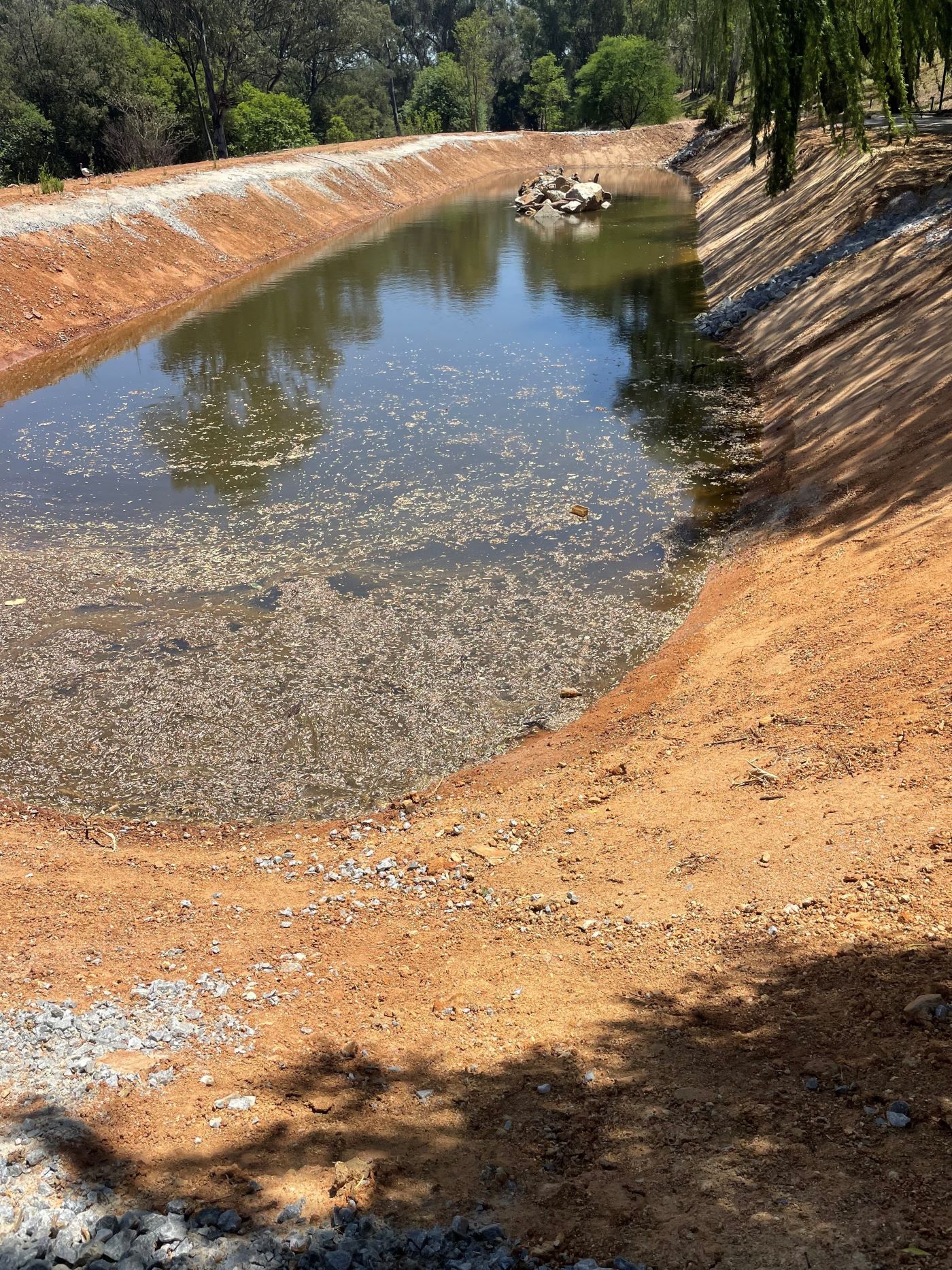 A ‘dam’ sight better – Tarentaal’s dam set to become a little paradise – Rand Aid Association