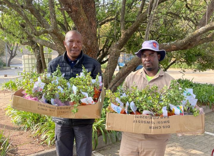 Eco-friendly gift for Tarentaal from St Peter’s Boys Prep – Rand Aid ...