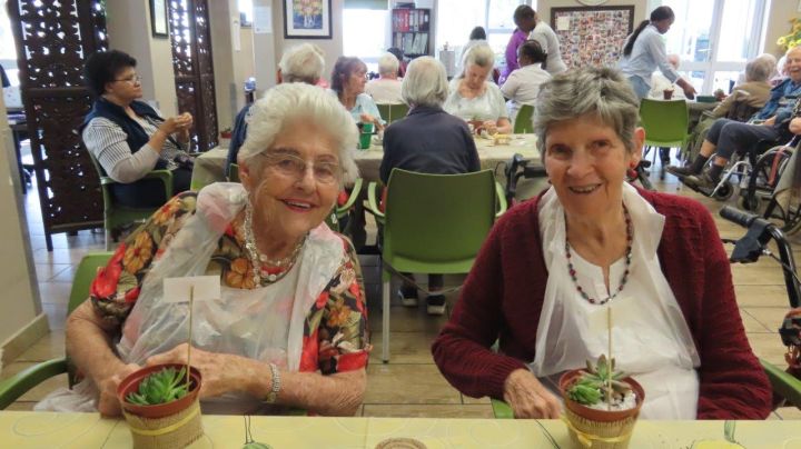 Potting around for International Flower Day – Rand Aid Association