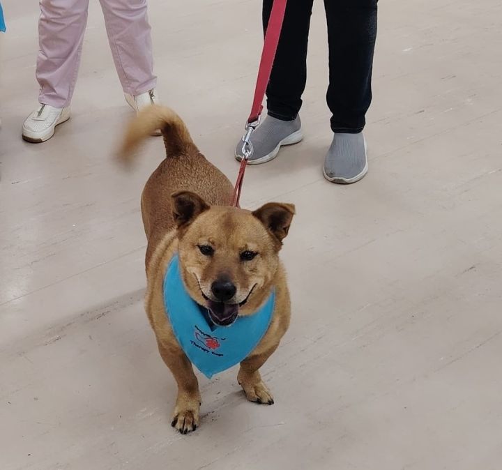 Friendship draw brings paws and prizes to Tarentaal – Rand Aid Association